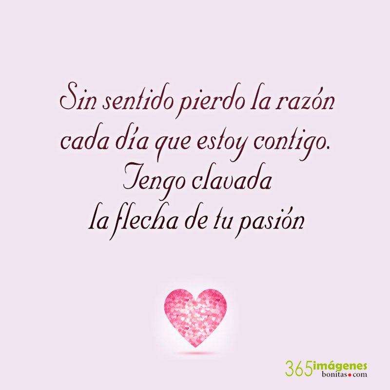 365 DEDICATORIAS DE AMOR con imágenes 【octubre - 2023】