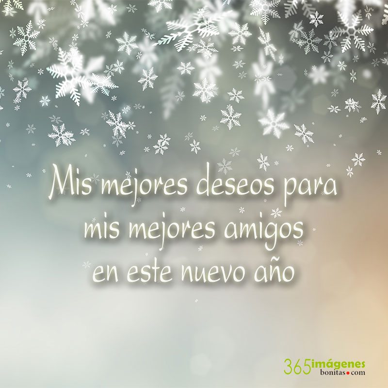AÑO NUEVO, frases para celebrar y felicitar【febrero - 2026】